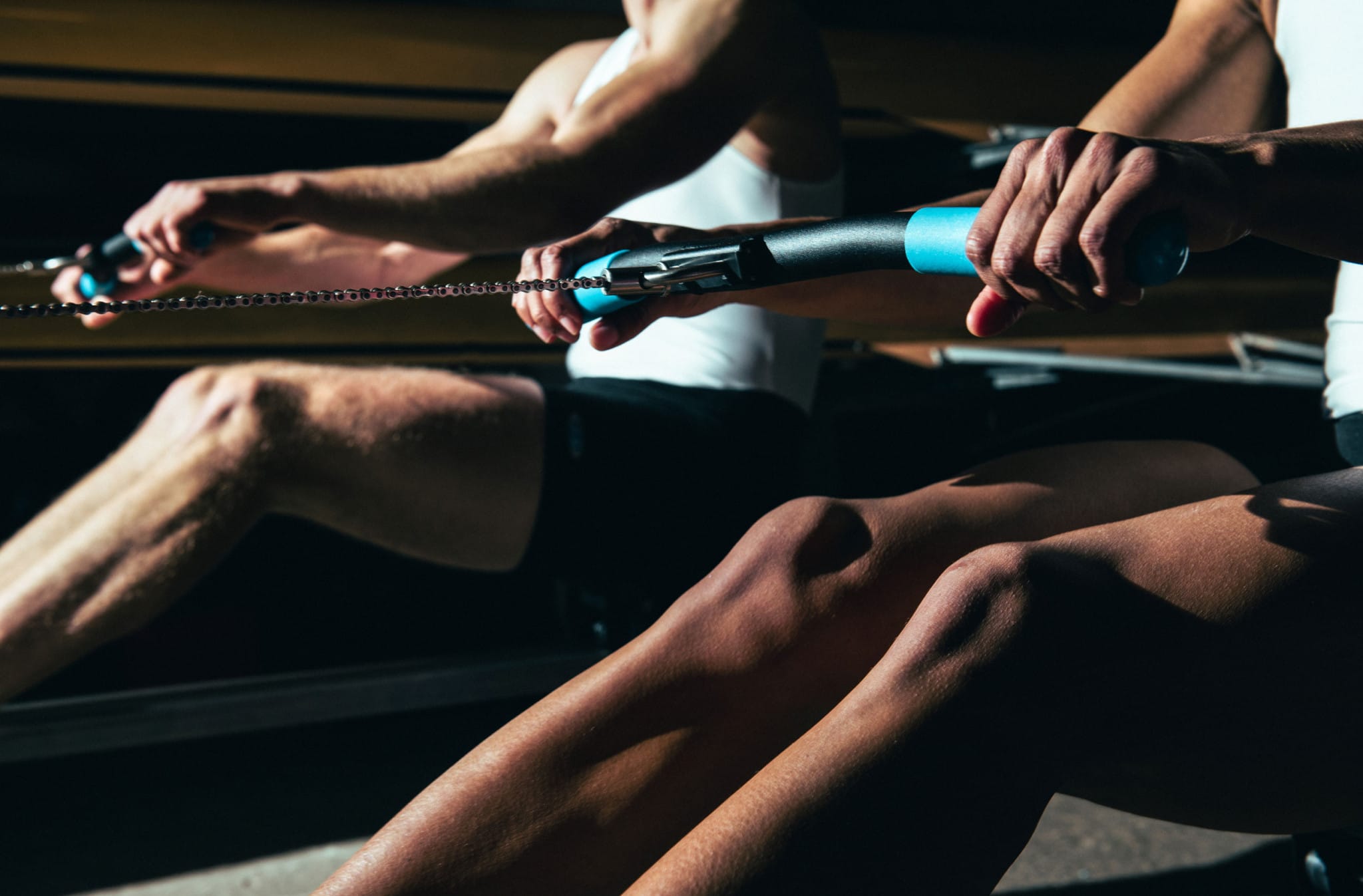 RP3 Rowing – True Rowing Experience